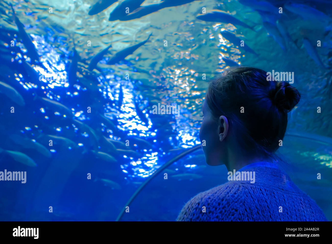 Woman looking at fish vortex in large public aquarium tank at ...