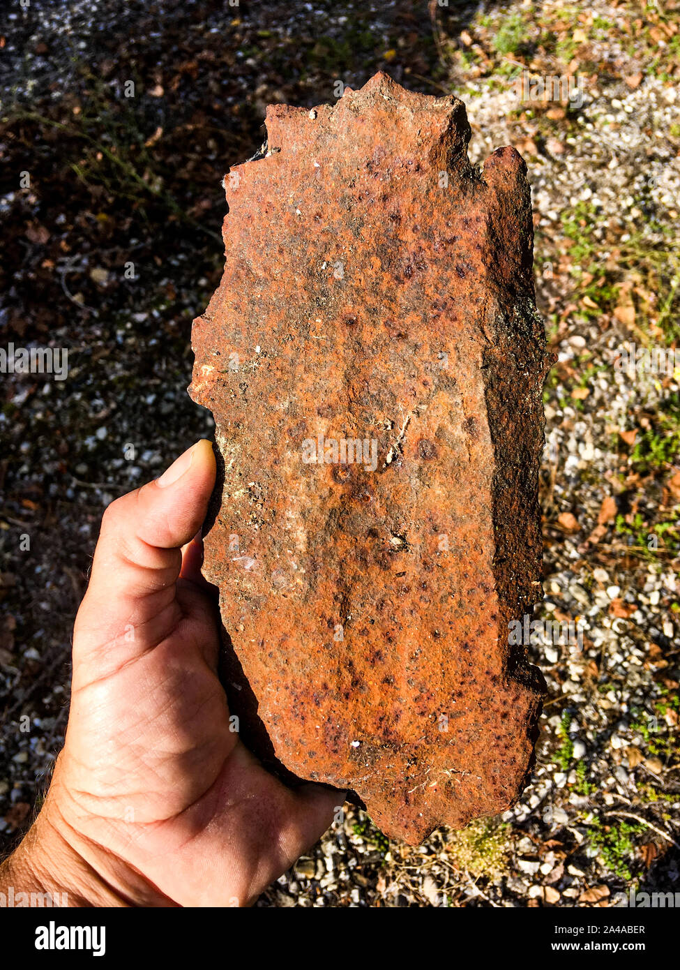 Heavy gun shell schrapnel from First World War battlefield of Verdun ...