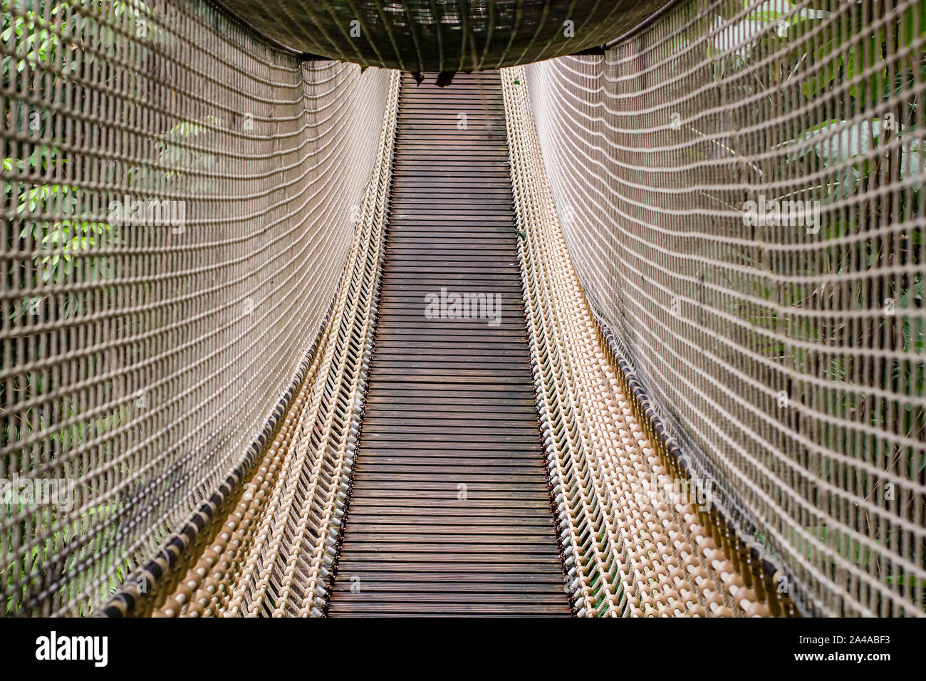 Suspended wooden rope bridge, with a grid on the sides and on top for ...