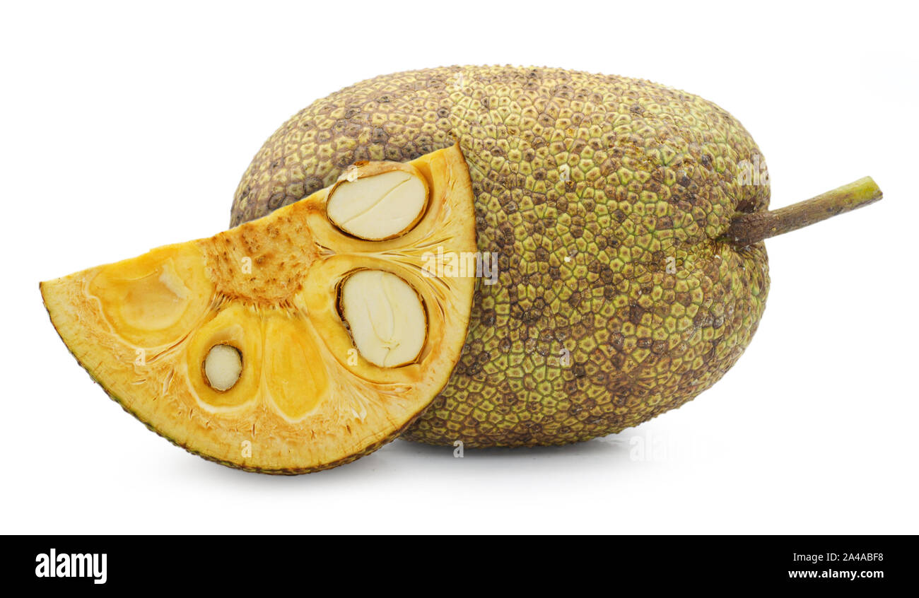 Fresh Jackfruit isolated on white background Stock Photo - Alamy