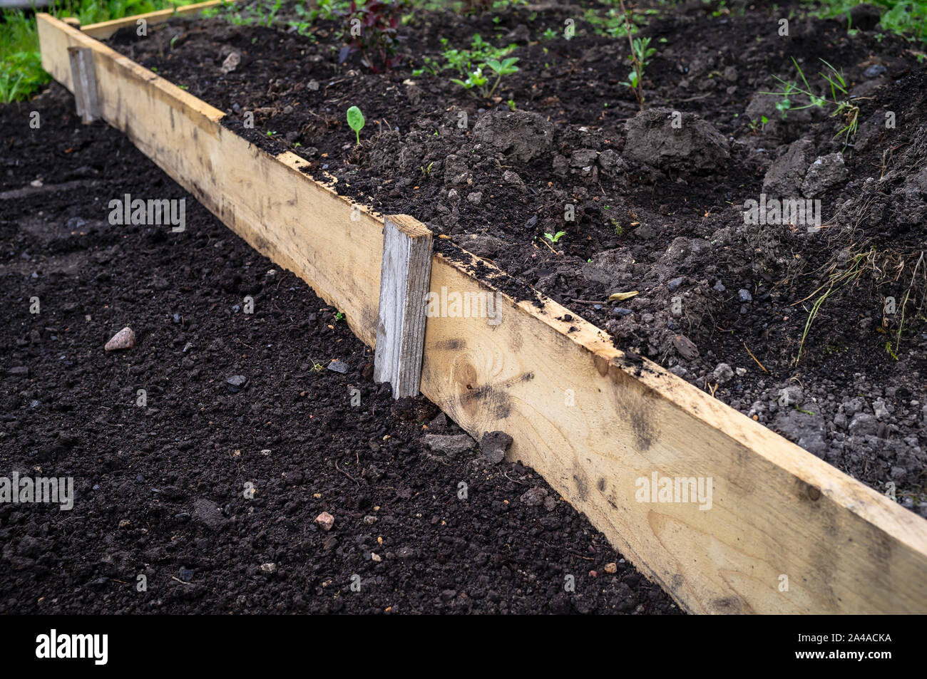 Garden bed fenced with wooden plank, in the countryside garden, on a ...