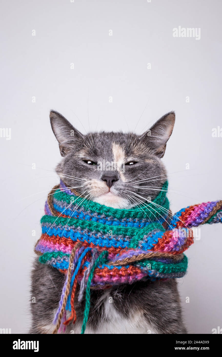 Sly look hi-res stock photography and images - Alamy