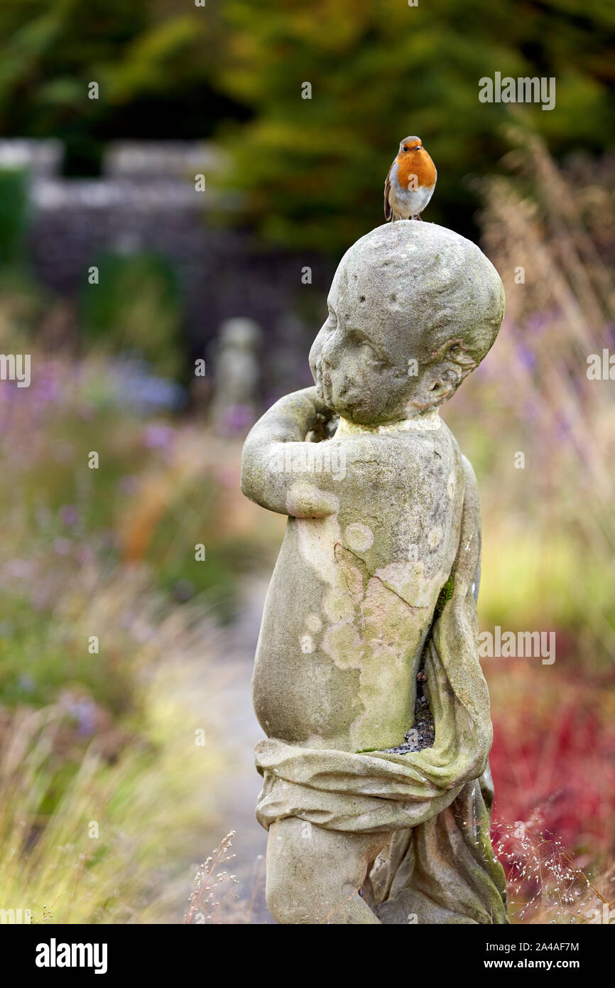 A robin perched on the head of a statue in the grounds of St Fagans ...