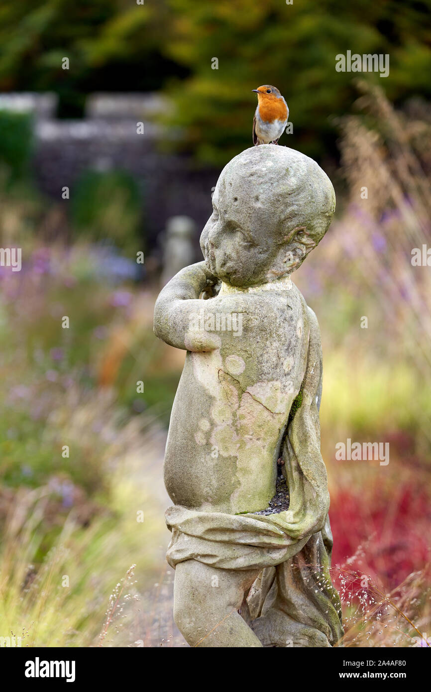 A robin perched on the head of a statue in the grounds of St Fagans ...