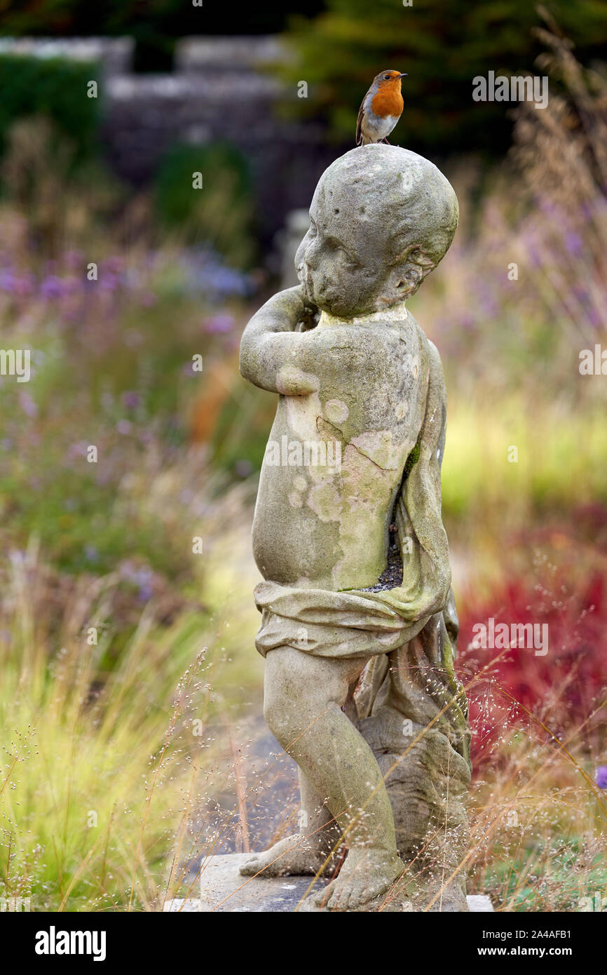 Robin statue hi-res stock photography and images - Alamy