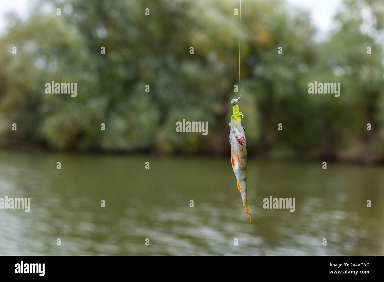 Little fish on a hook hi-res stock photography and images - Alamy