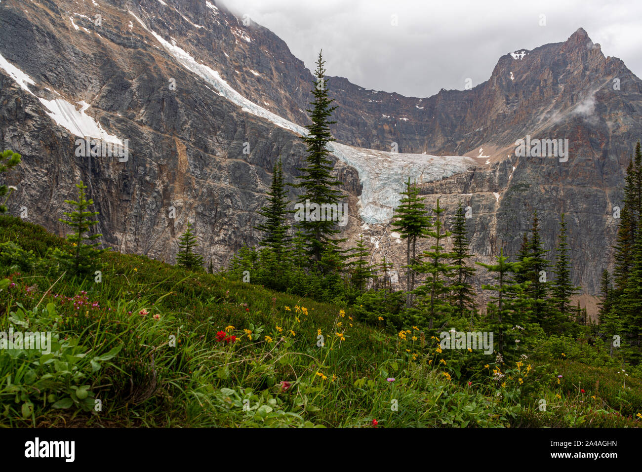 Mount edith cavell hi-res stock photography and images - Alamy