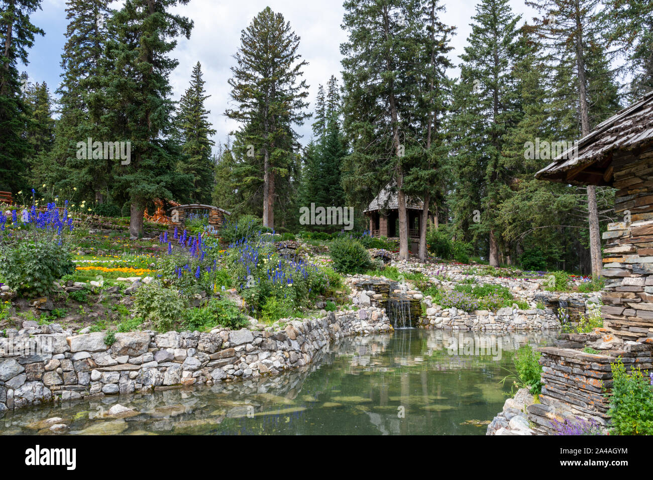 Banff canada flowers hi-res stock photography and images - Alamy