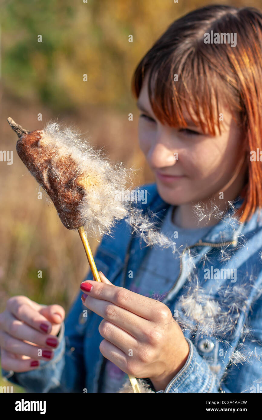 A child girl with red hair holds a cattail in her hand and watches the ...