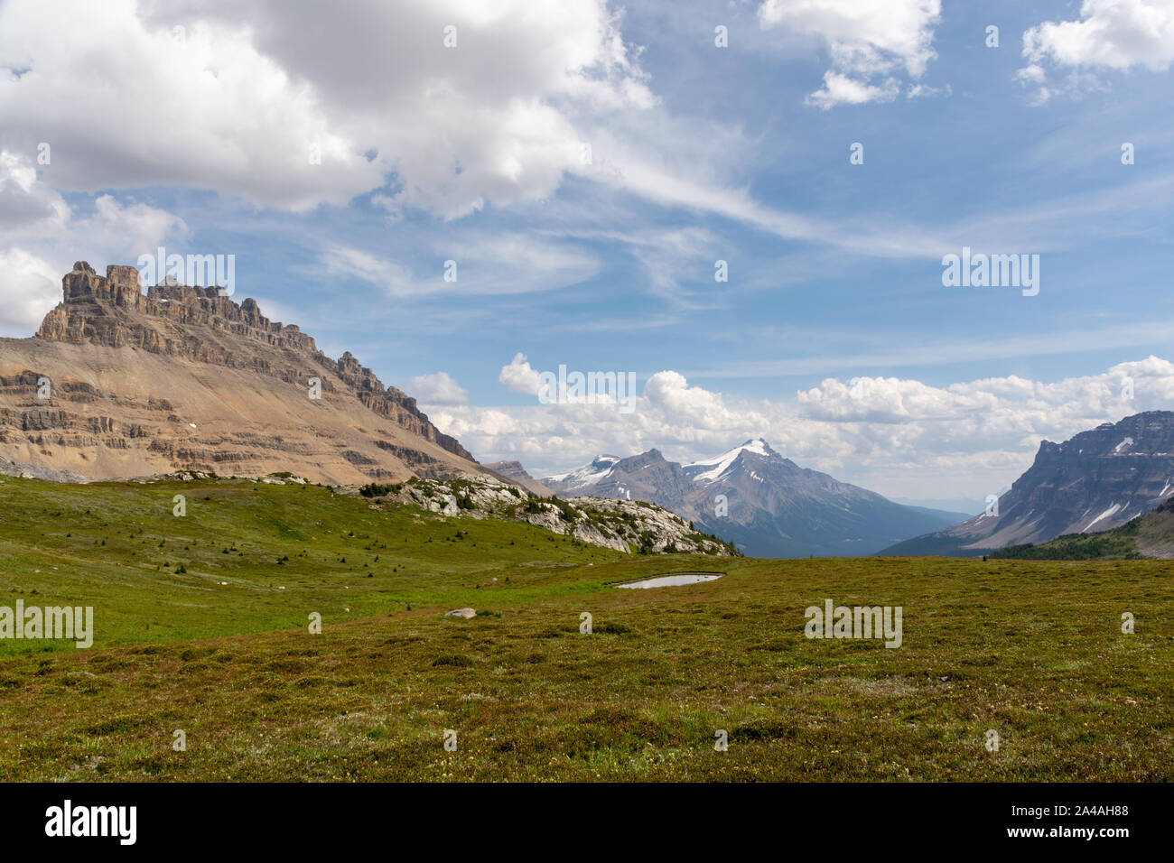 Andromache hi-res stock photography and images - Alamy