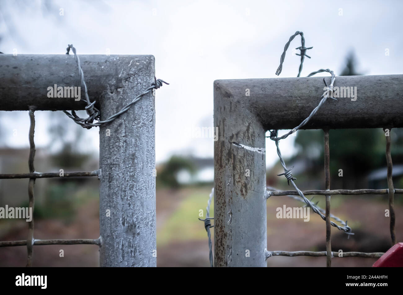 Metal gates with barbed wire protect private property. Close-up Stock ...