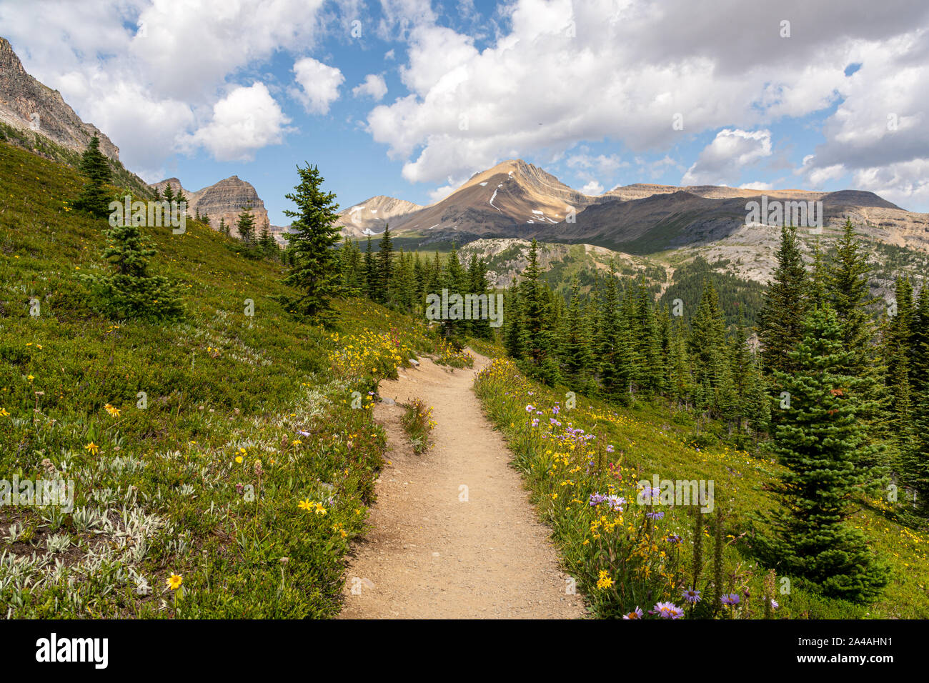 Helen lake banff national park hi-res stock photography and images - Alamy