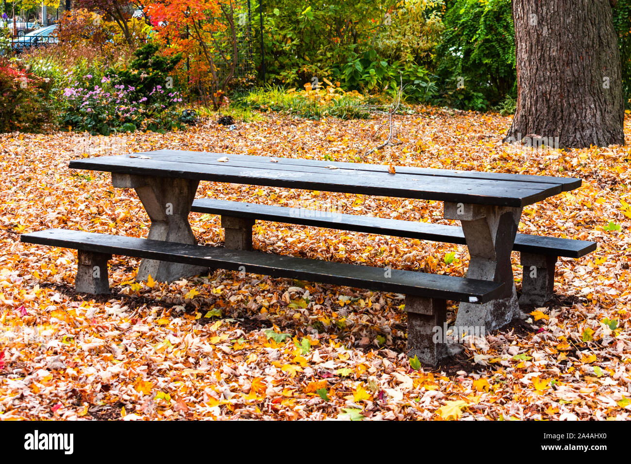 Picnic table park hi-res stock photography and images - Alamy