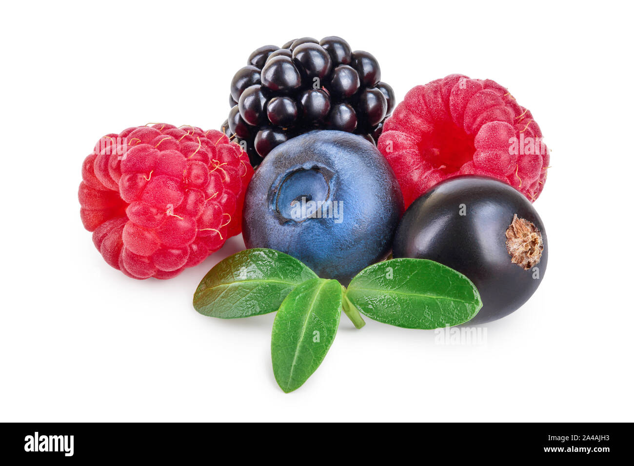 mix of blackberry blueberry raspberry with leaf isolated on white ...