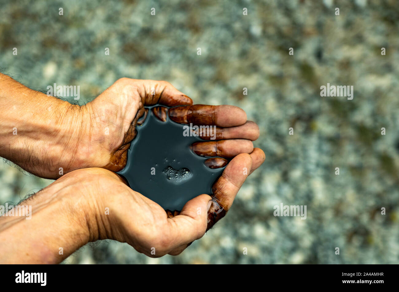 Mineral oil in the hands of man. Caucasian hands cupped with black rock ...