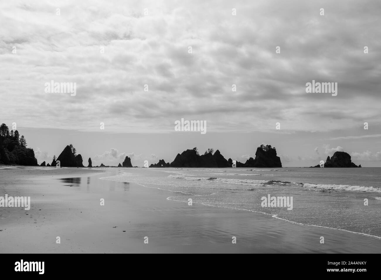 Bush point Black and White Stock Photos & Images - Alamy