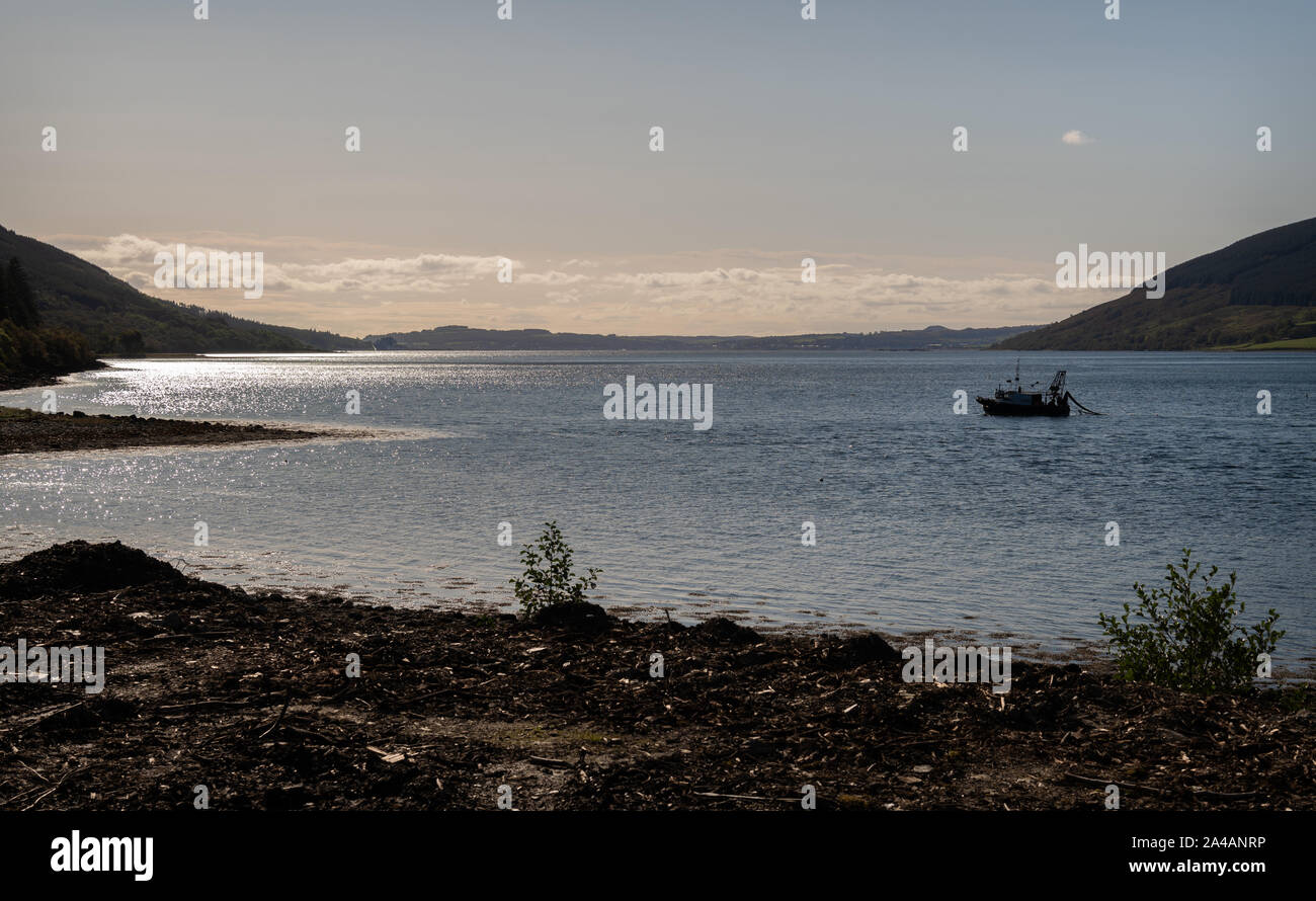 Loch Striven Scotland High Resolution Stock Photography and Images - Alamy