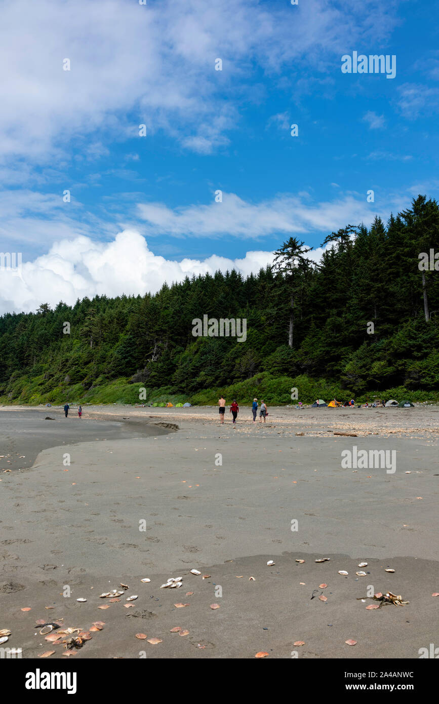 Shi Shi Beach, Olympic National Park, Washington, USA Stock Photo - Alamy