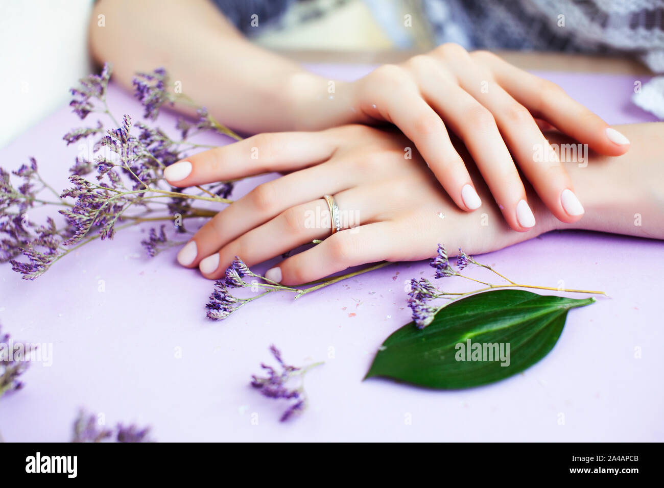 pretty perfect woman hands with white manicure and little flowers on ...