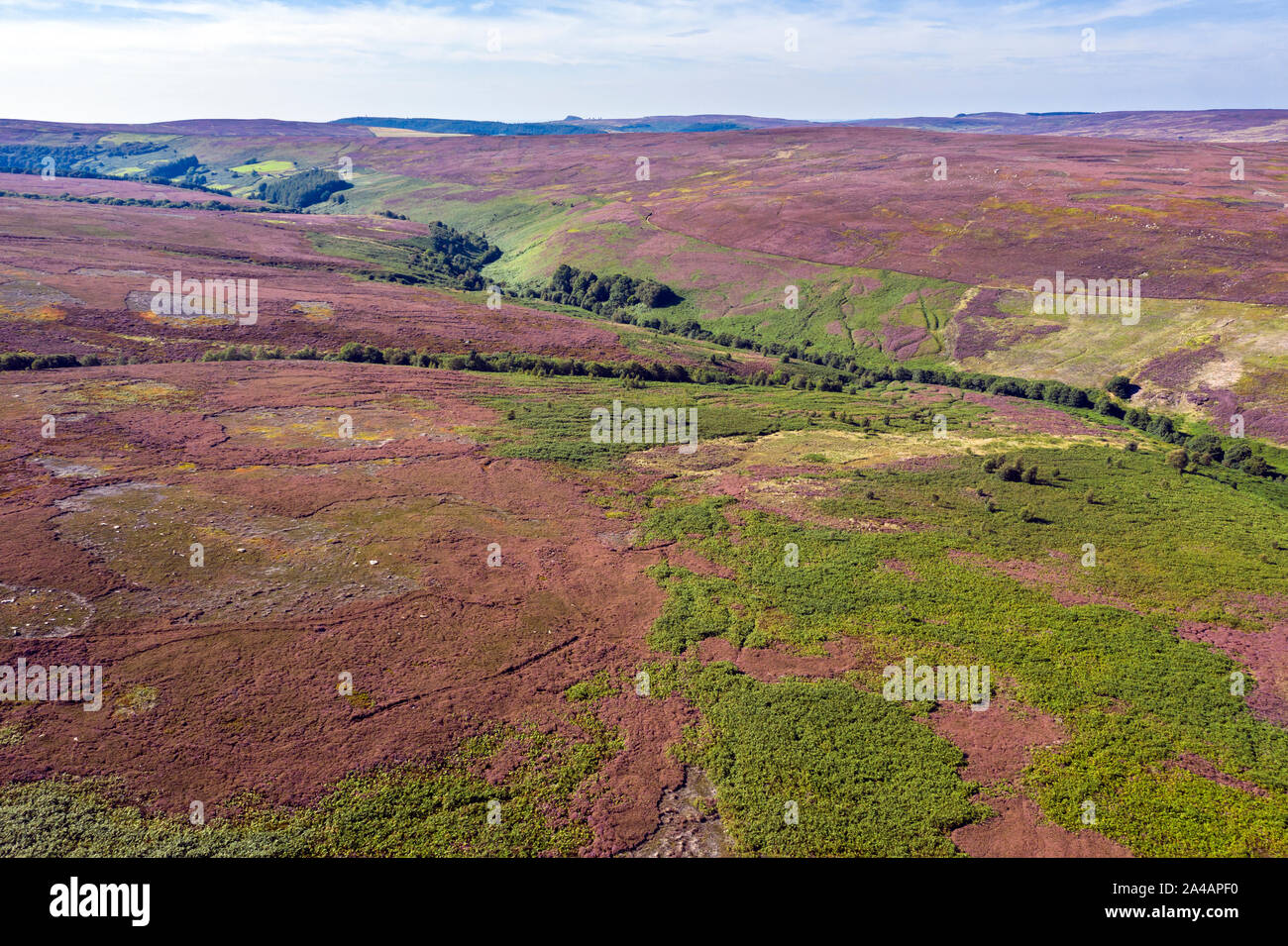 North yorks moors heather hi-res stock photography and images - Alamy