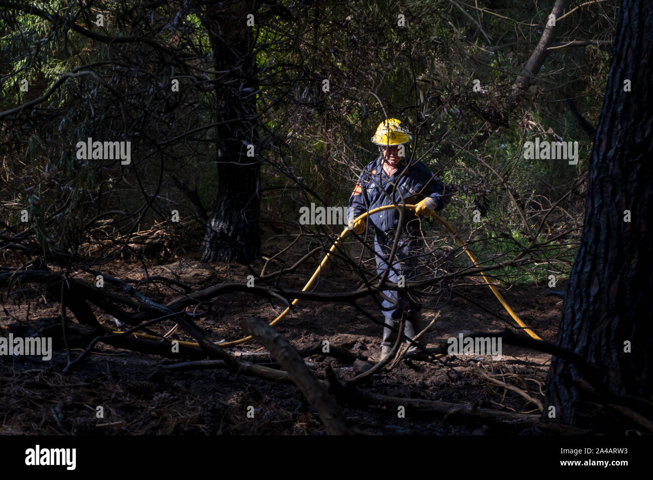 Fireman putting out fire hi-res stock photography and images - Alamy