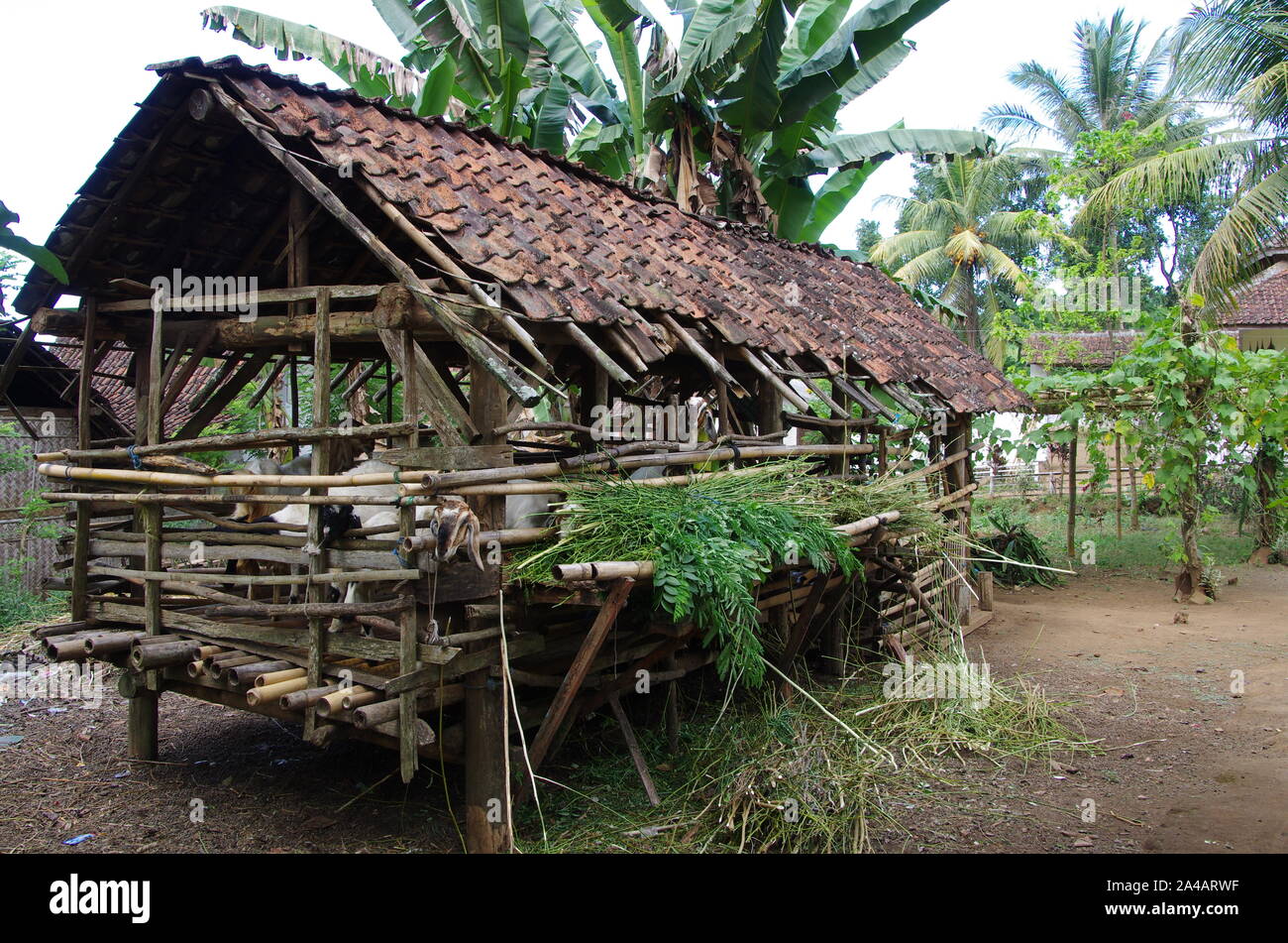 Traditional village on the Java island in Indonesia Stock Photo - Alamy