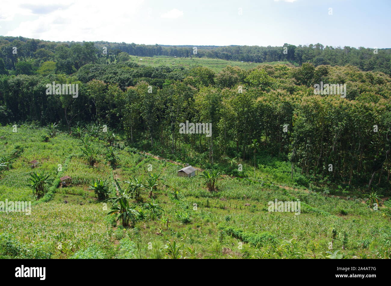 Rural landscape on the Java island in Indonesia Stock Photo - Alamy
