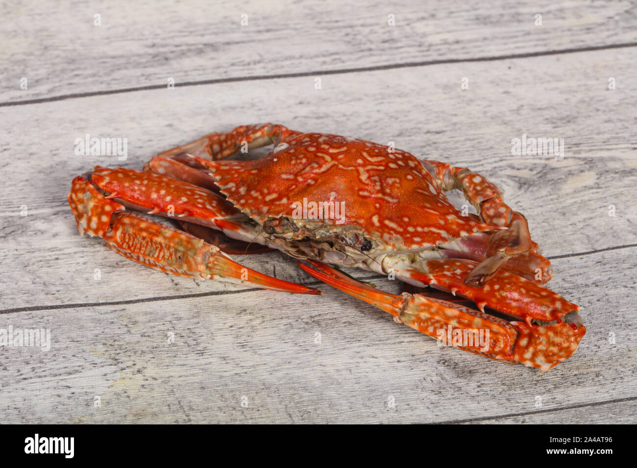 Delicous Boiled crab - ready for eat Stock Photo - Alamy