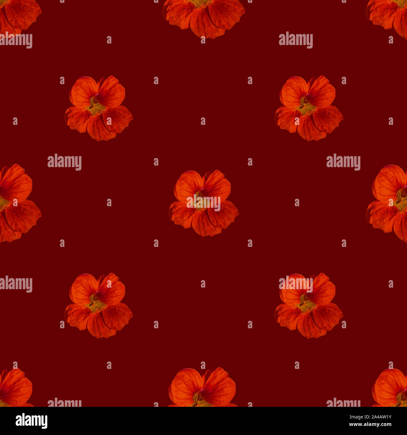 Printable flowers hi-res stock photography and images - Alamy