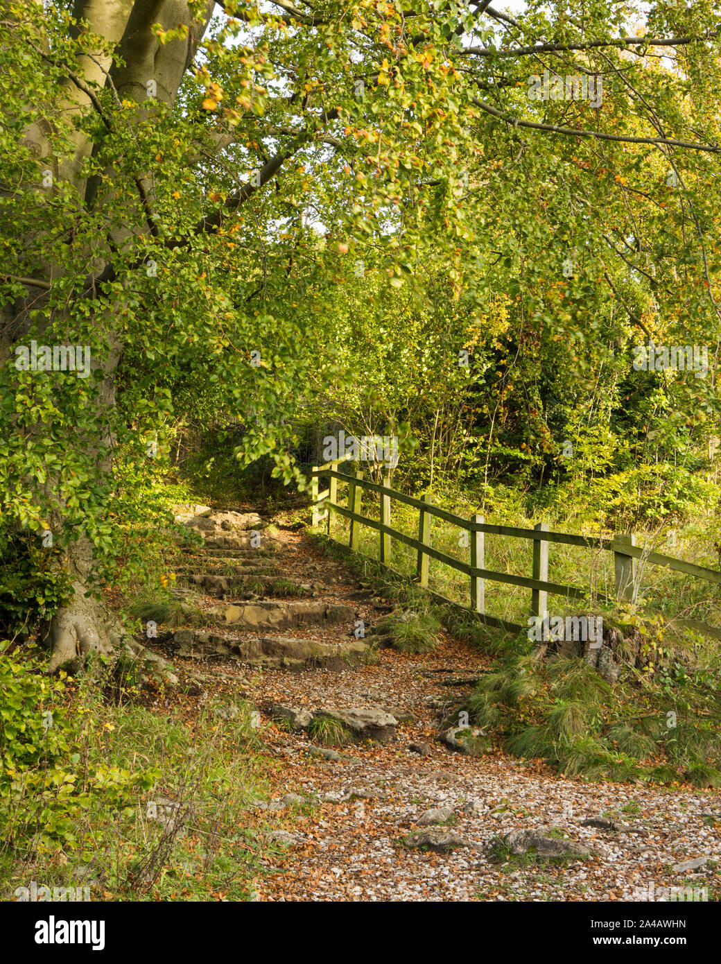 Pathway on High Tor in Matlock Derbyshire - Autumn Stock Photo - Alamy