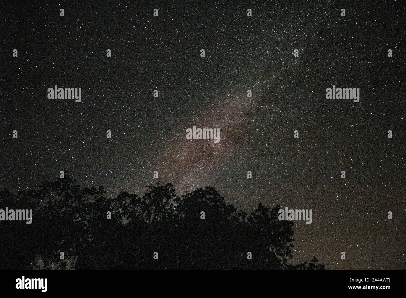 Night shot with stars on a night sky background Stock Photo - Alamy