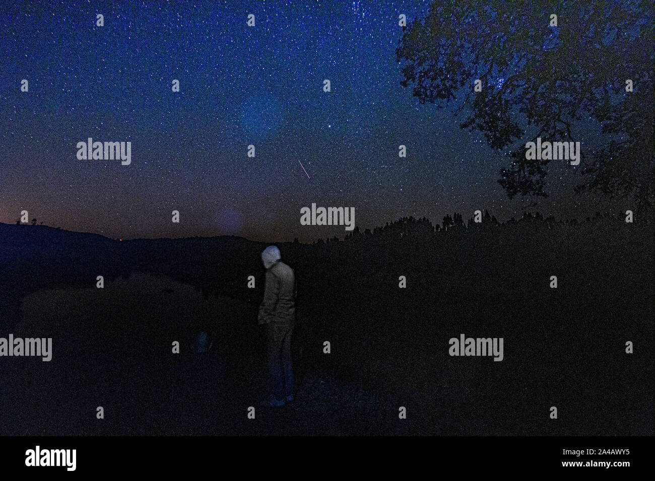 Night shot with stars on a night sky background Stock Photo - Alamy