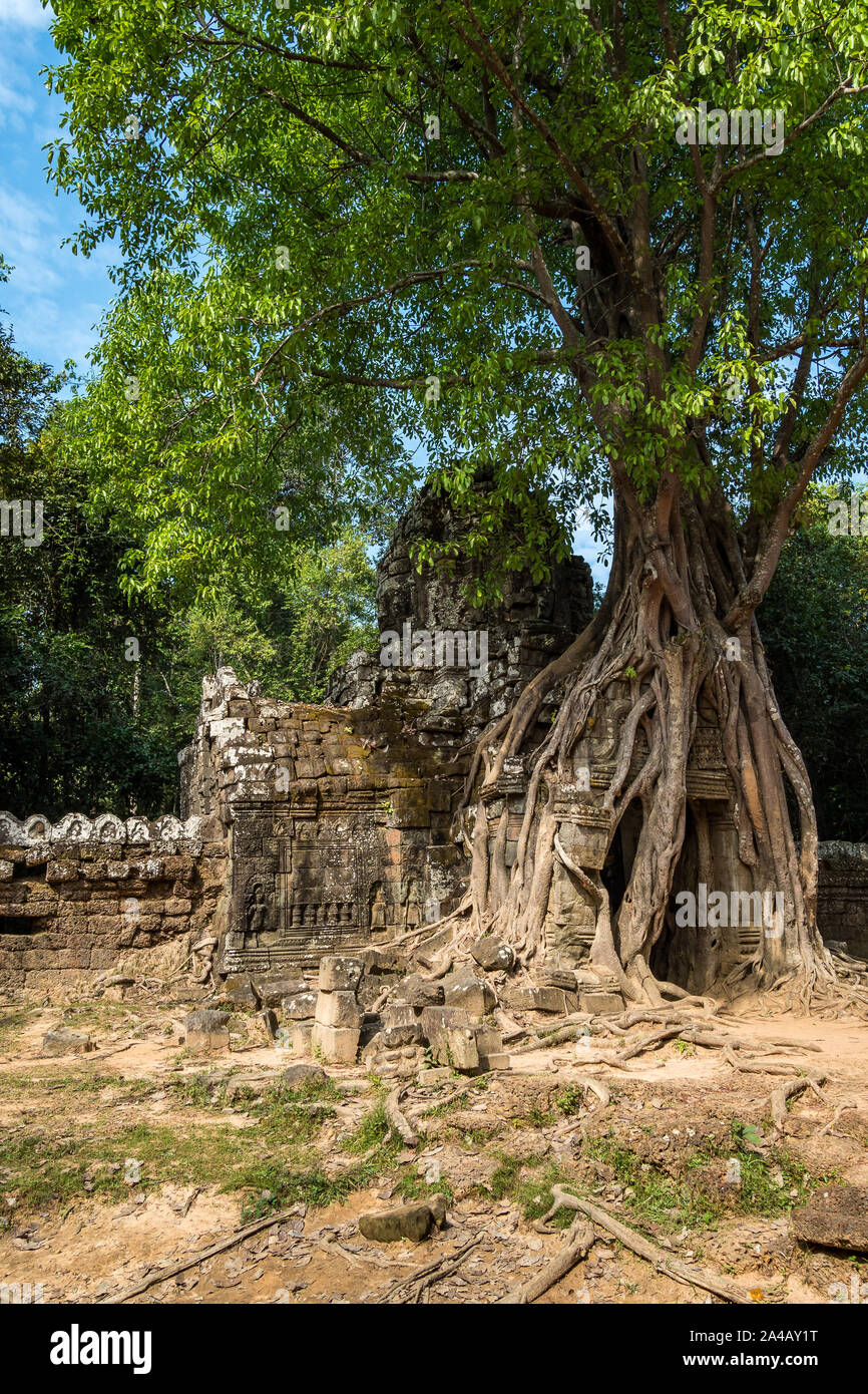 Ta Som temple in Angkor Wat complex, Cambodia, Asia Stock Photo - Alamy