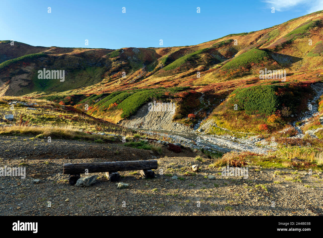 Wooden log bench hi-res stock photography and images - Alamy