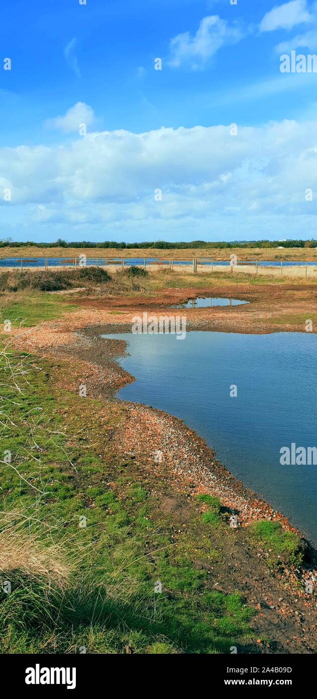 Rye nature reserve with blue sky and lake with flat landscape Stock ...