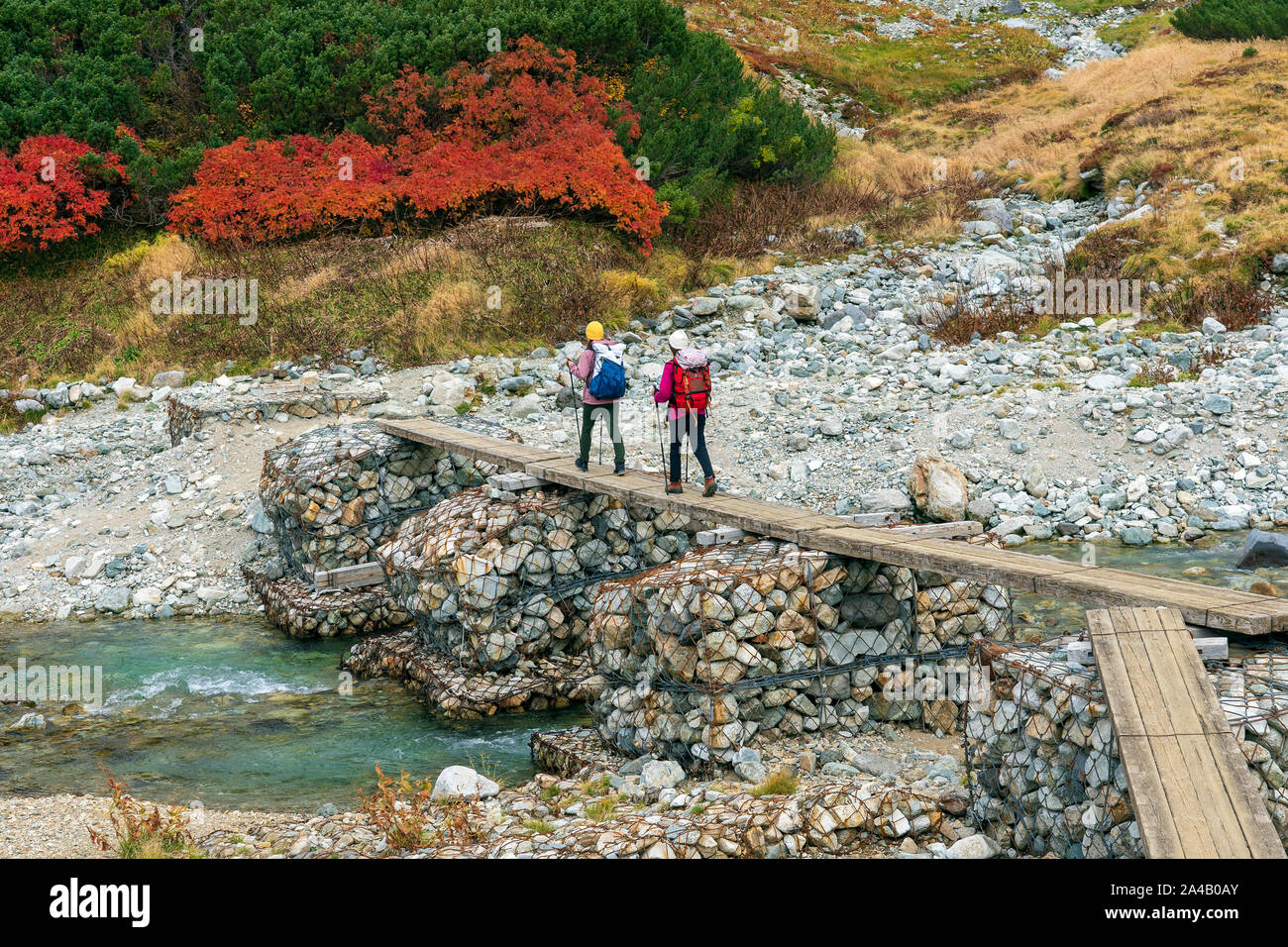 Young girls wooden walkway hi-res stock photography and images - Alamy