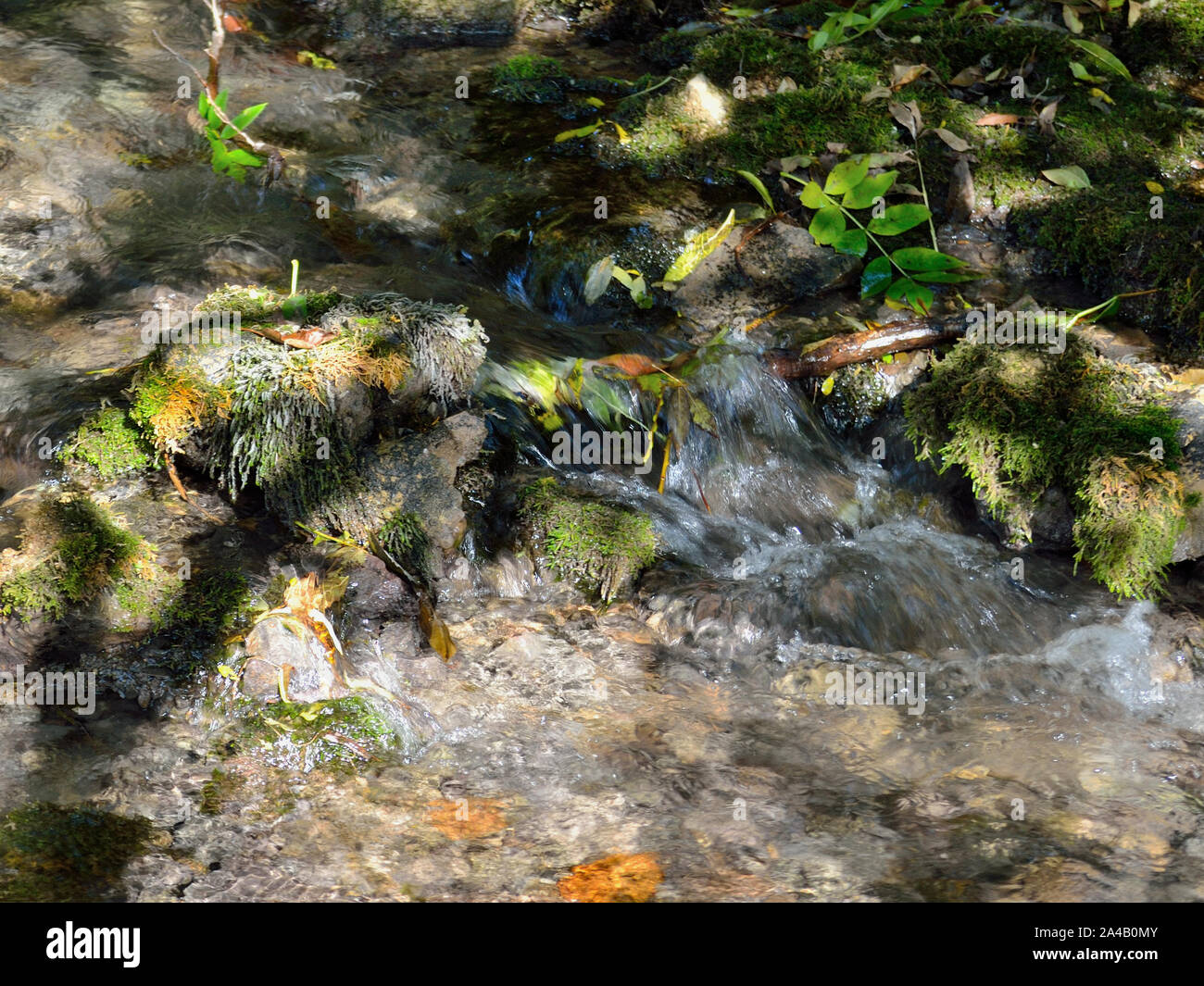 Hydro-complex "Lisine" , Vrelo-Resava, mountain Beljanica Stock Photo ...