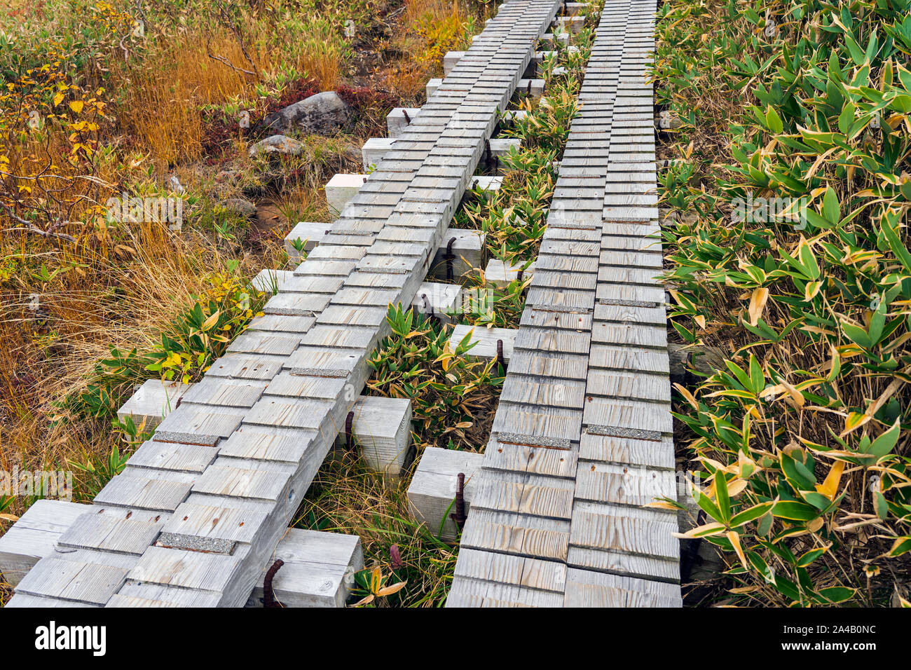 Pale Gray Wooden Track Road On The Grass Field. Path Way On Lawn ...