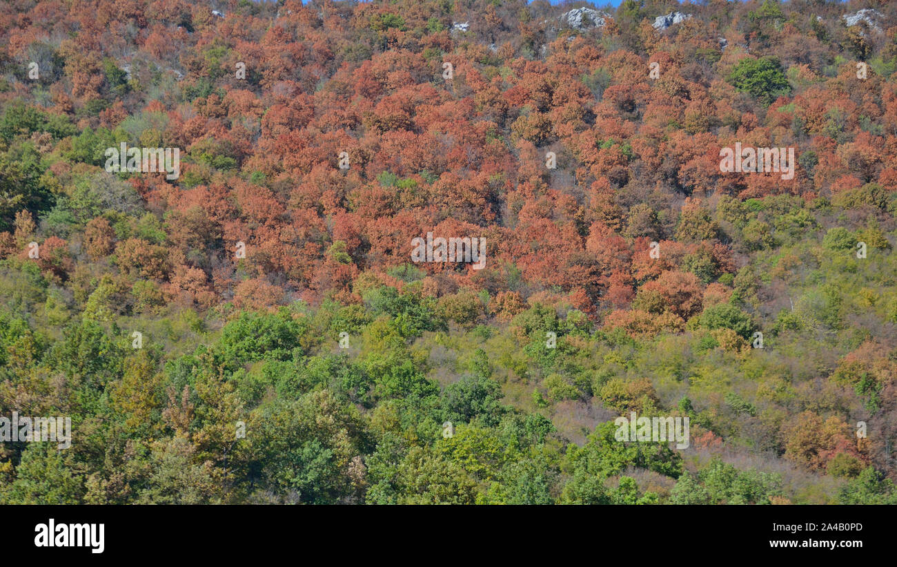 Serbian landscape hi-res stock photography and images - Alamy