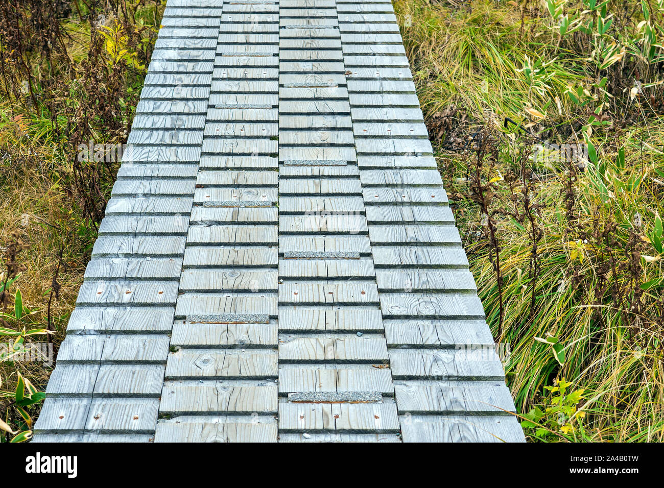 Pale Gray Wooden Track Road On The Grass Field. Path Way On Lawn ...