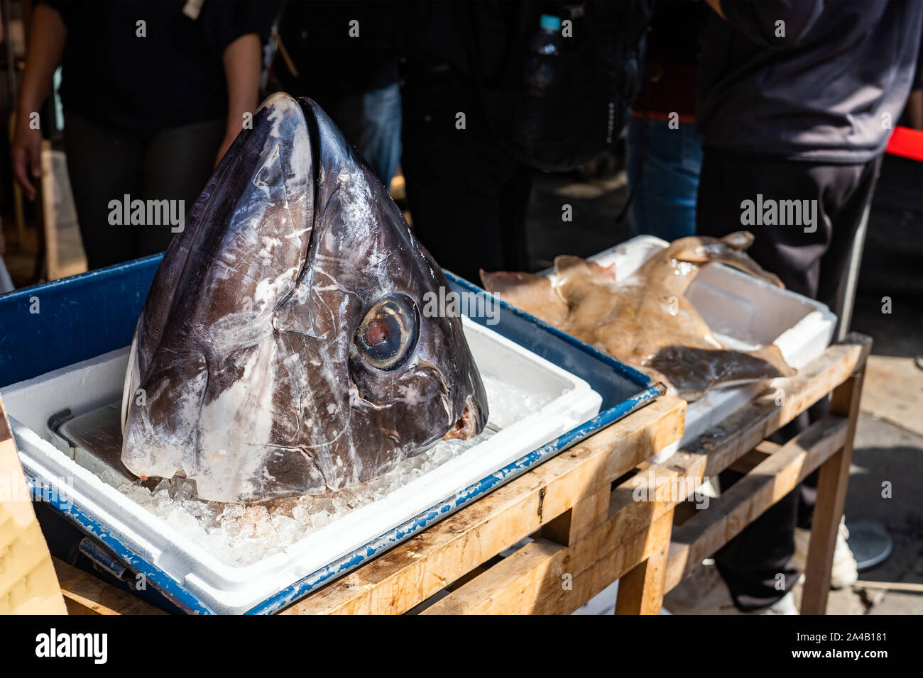 Giant Head Of Tuna Is On The Box Of Ice On Fish Market Stock Photo - Alamy