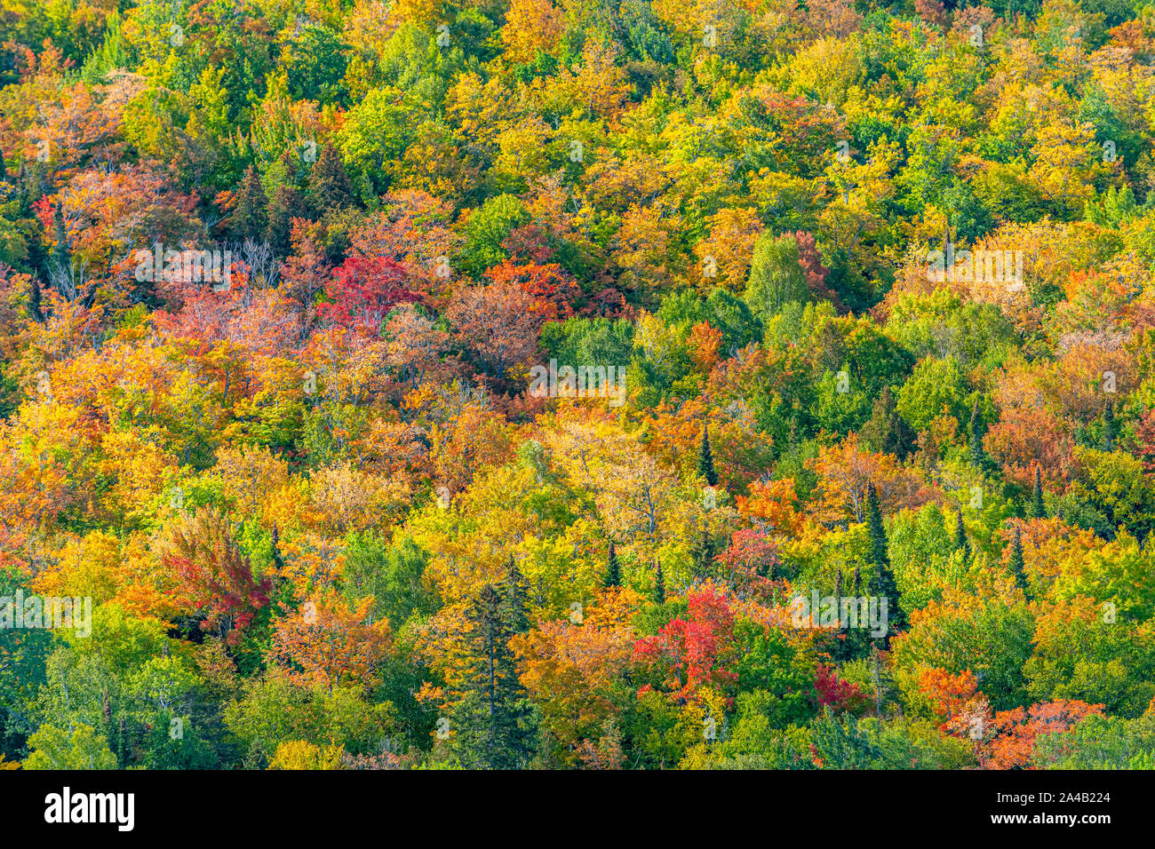 Upper peninsula fall colors hi-res stock photography and images - Alamy