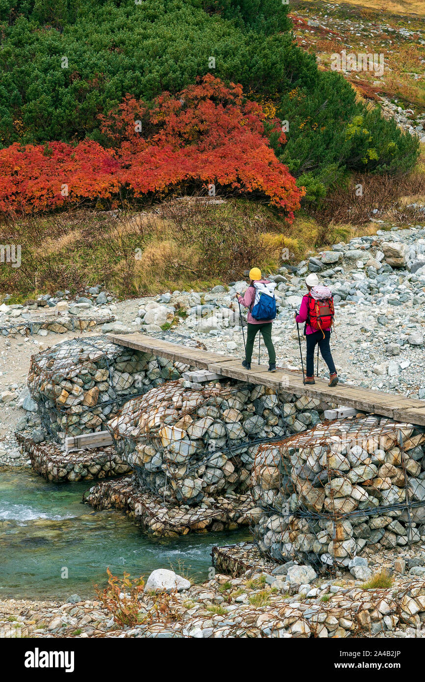 Young girls wooden walkway hi-res stock photography and images - Alamy