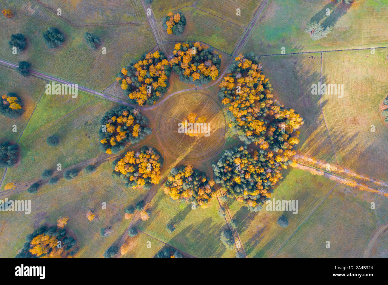 Aerial view of the a group trees planted in a circle in an autumn park ...
