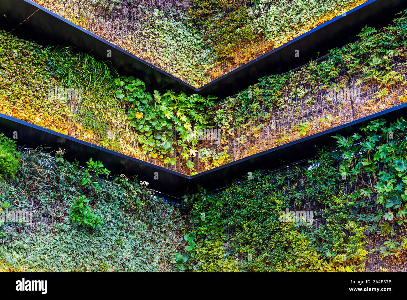 Internal Corner Of Vertical Green Wall With Lighting Stock Photo - Alamy