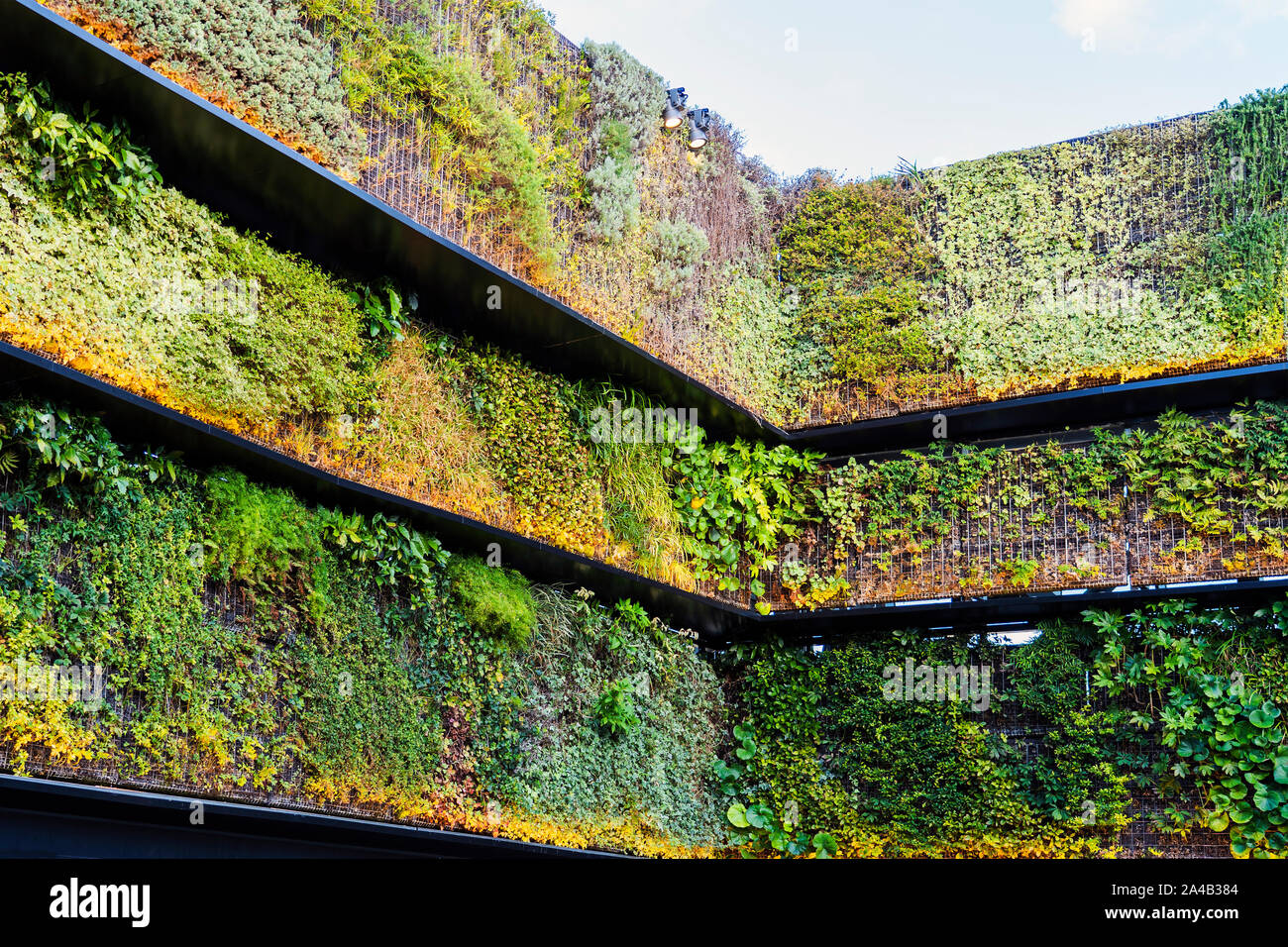 Internal Corner Of Vertical Green Wall With Lighting Stock Photo - Alamy