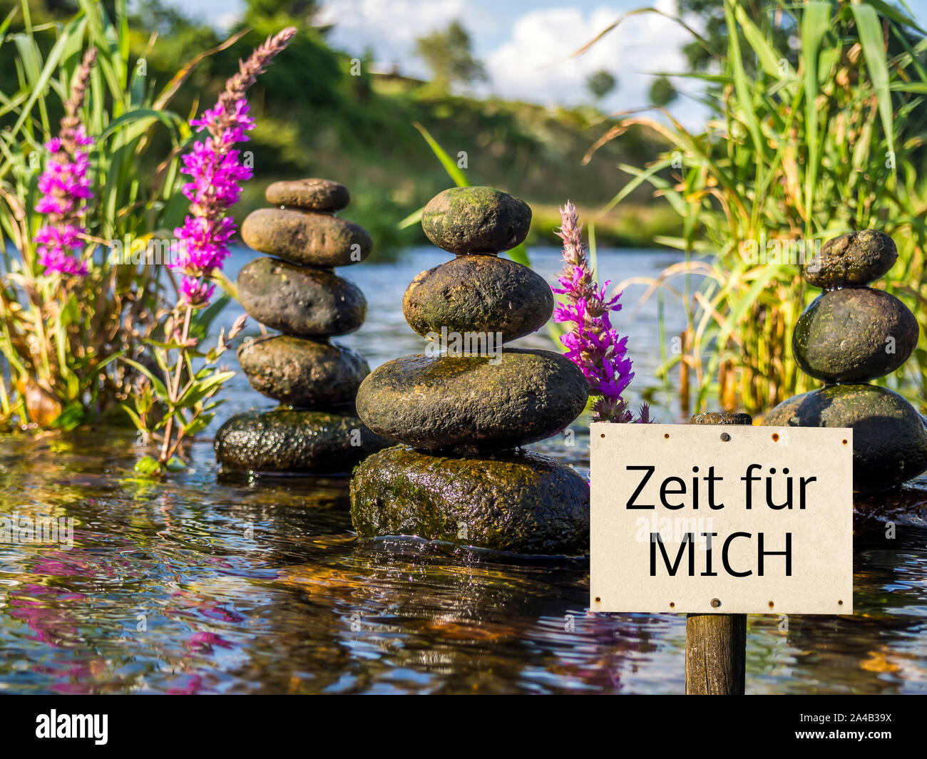 German text on forest hi-res stock photography and images - Alamy