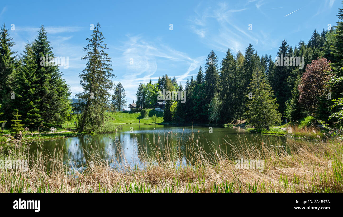 Les joncs hi-res stock photography and images - Alamy