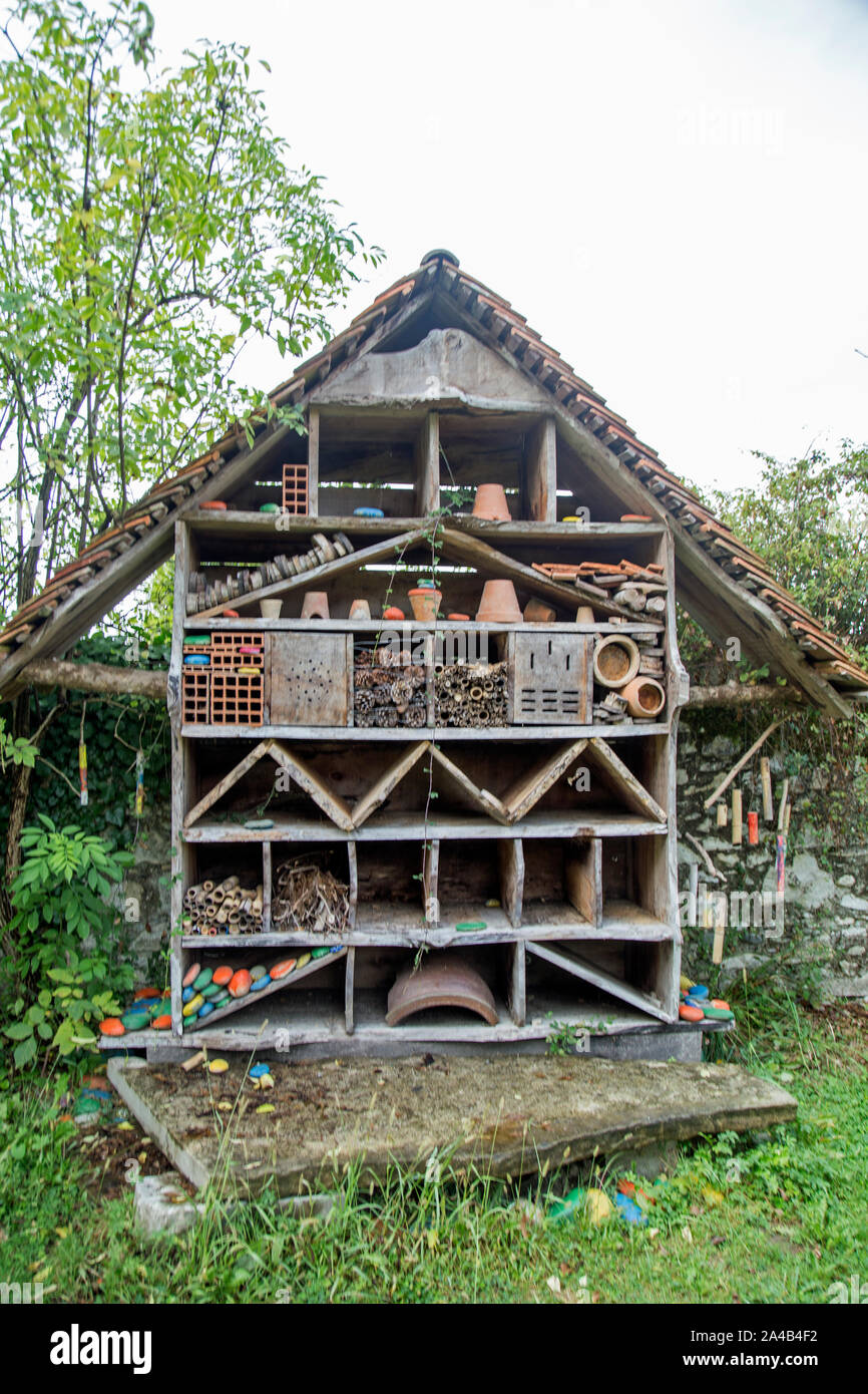 Vivarium insect hi-res stock photography and images - Alamy