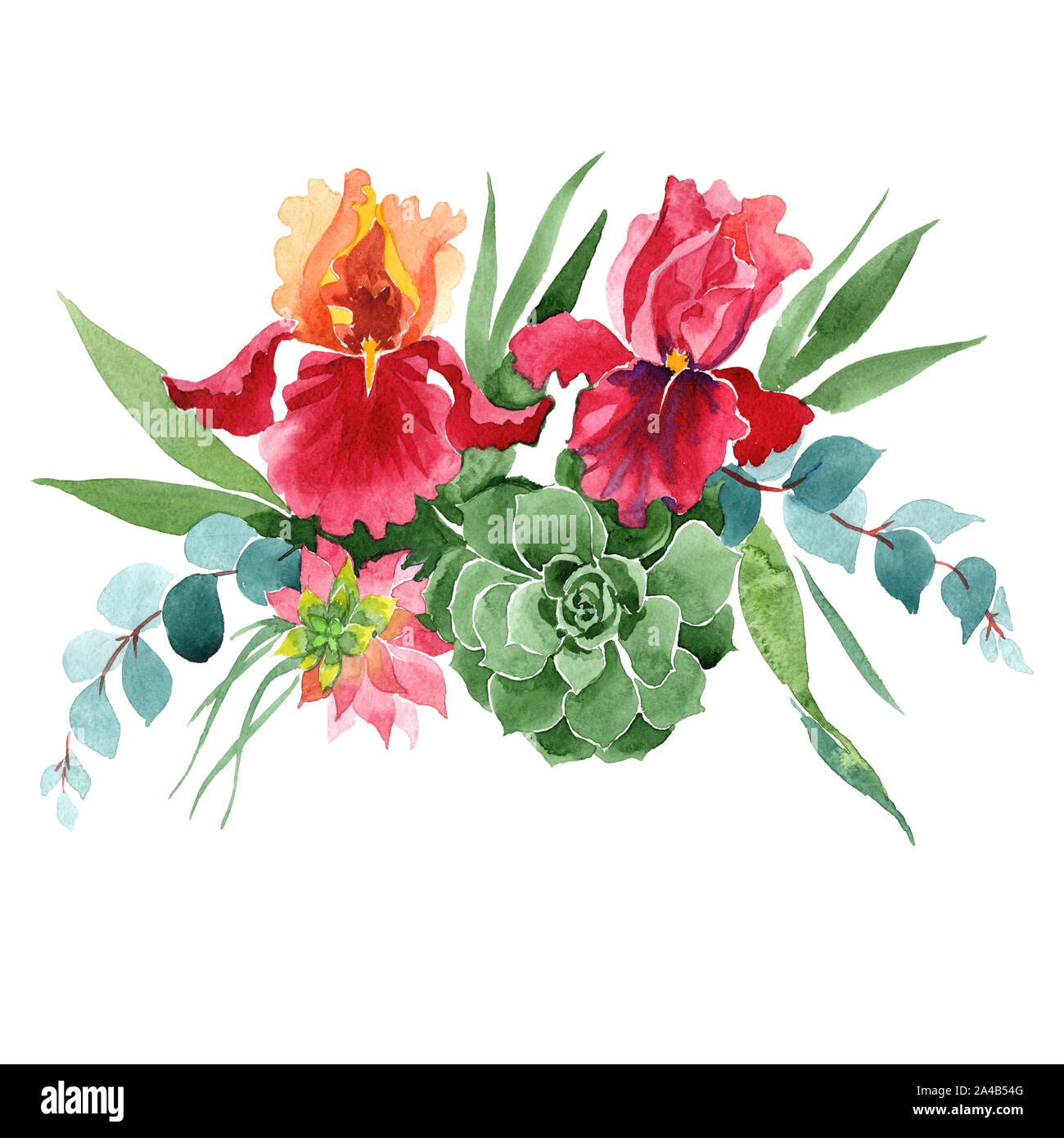 Bouquet floral botanical flowers. Watercolor background illustration ...